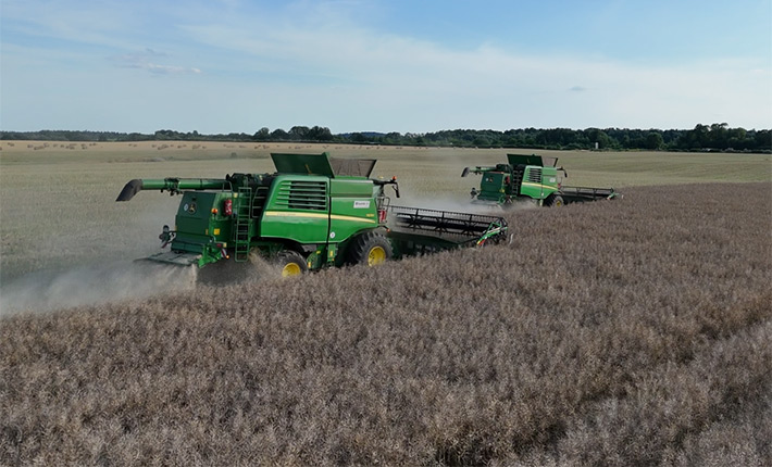 Zur Ernte von Raps und Getreide in Schleswig-Holstein und Mecklenburg ...